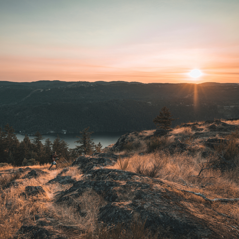 Finlayson Arm – 50k – Coastline Endurance Running